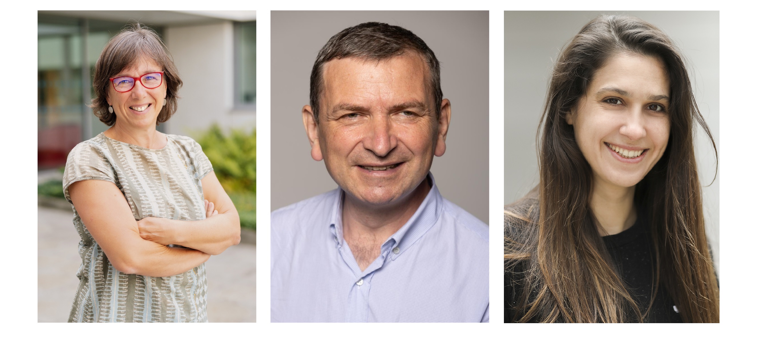 The French Academy of Sciences awards three researchers from IP Paris ...